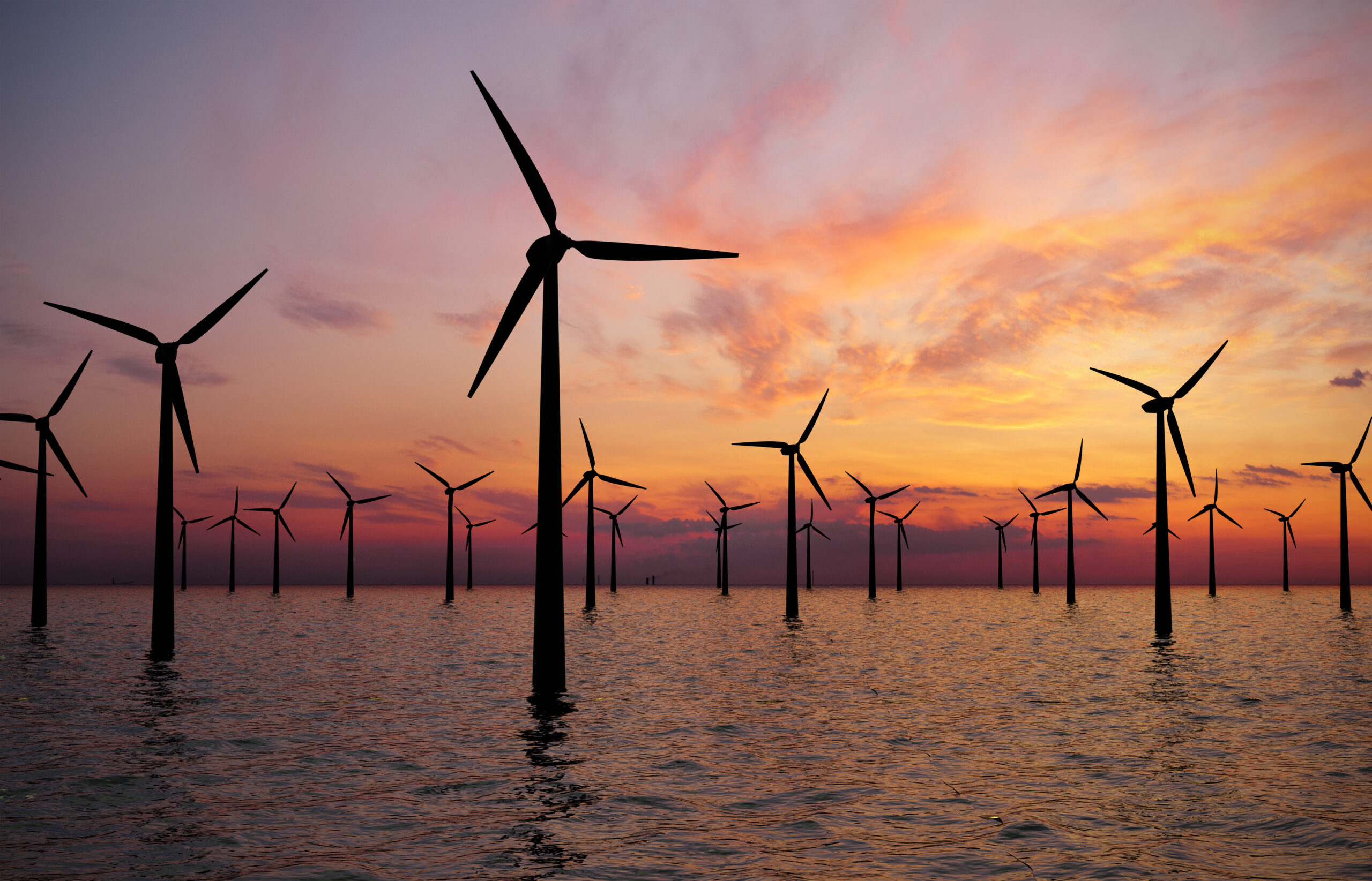 Energy at a Glance: Wind and the Environment - The Heartland Institute