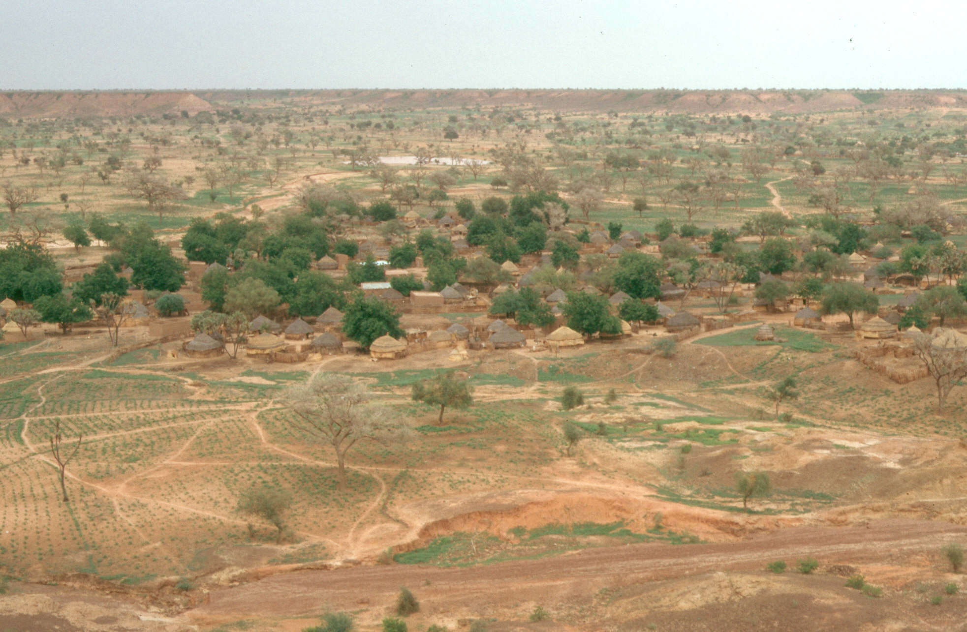 Global Warming Is Benefiting, Not Harming Africa’s Sahel Region - The ...