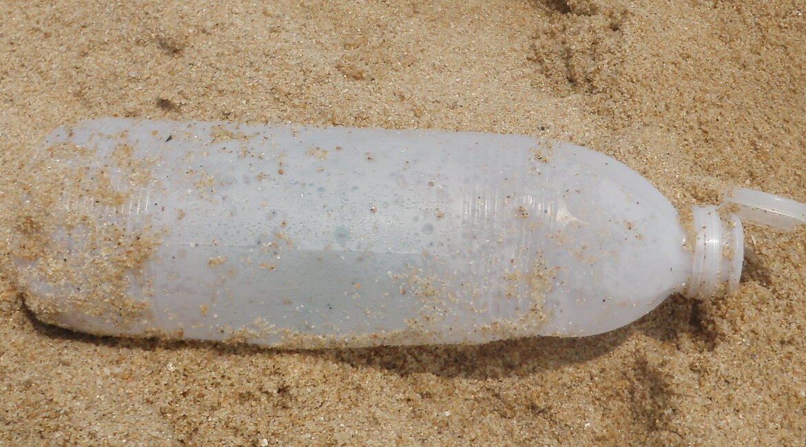 The great Pacific garbage patch twice the size of Texas is fake - The ...