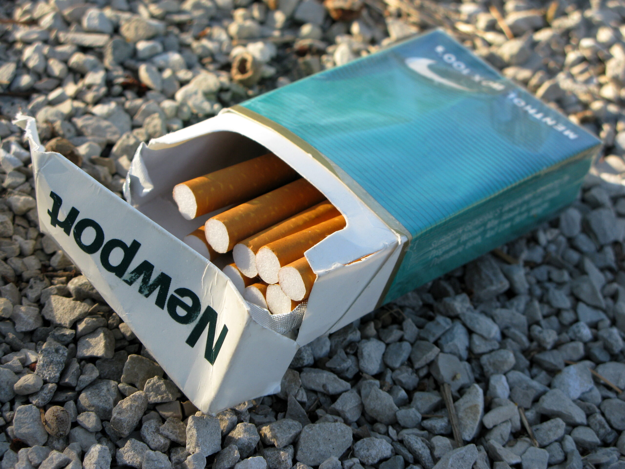 Biden Declares War on Menthol Cigarettes - The Heartland Institute