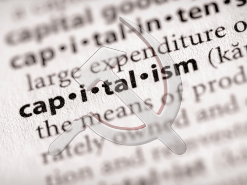 Sally C. Pipes - The Heartland Institute